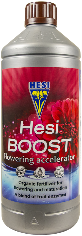 Hesi Boost